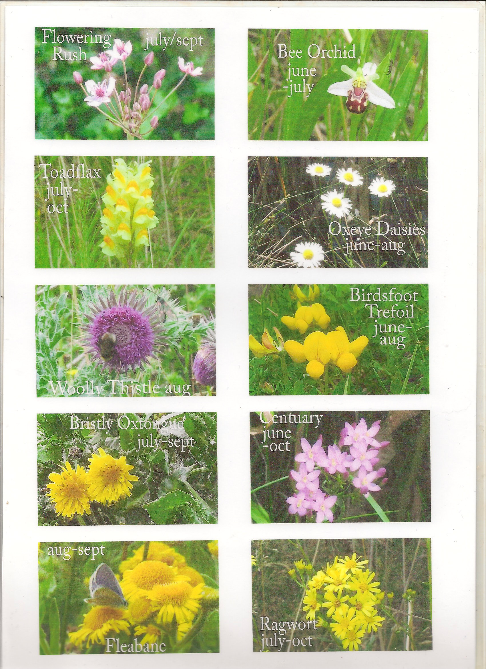 Marton Nature – Marton Village