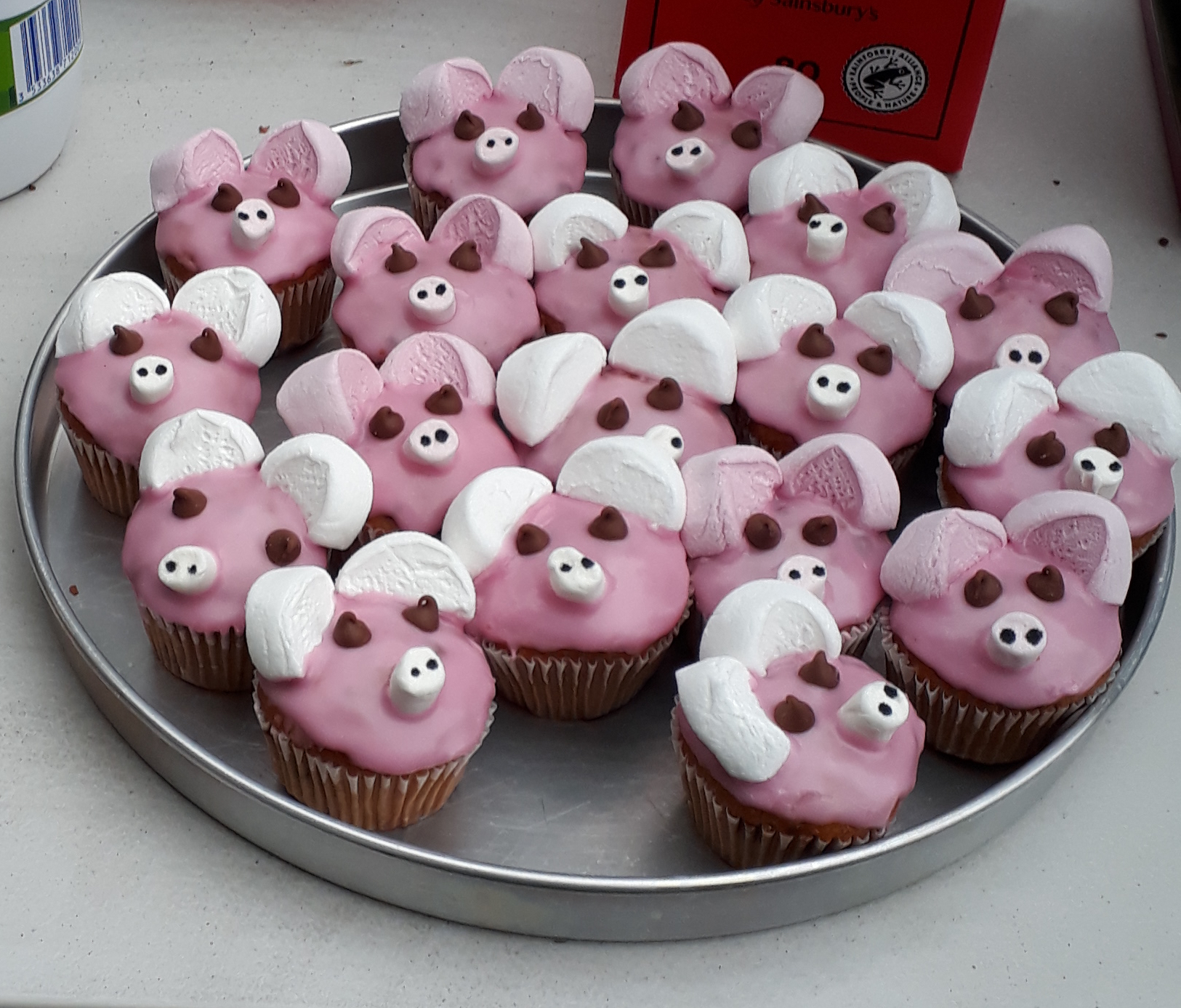 Pig Club – Marton Village